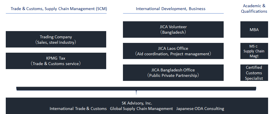 About us | SK Advisory, Inc.